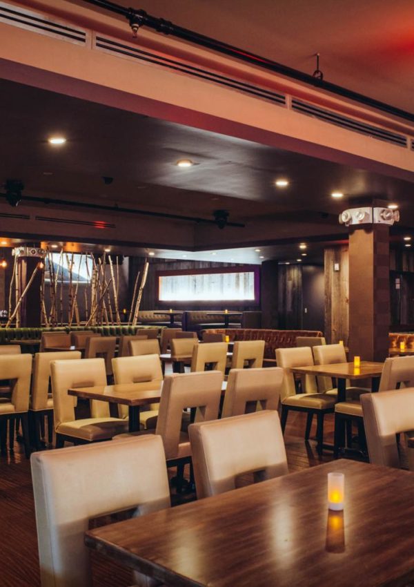 Stage 48 - Elmwood Reclaimed Timber