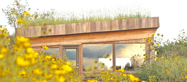 Natural Wood Siding | Elmwood Reclaimed Timber